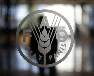 FAO